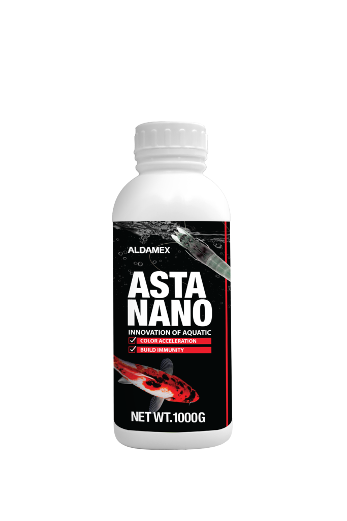ALDAMEX ASTA NANO 1 LITER - ALDAMEX